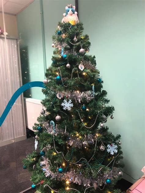 The Hyperthyroid Cat Centre Home Facebook