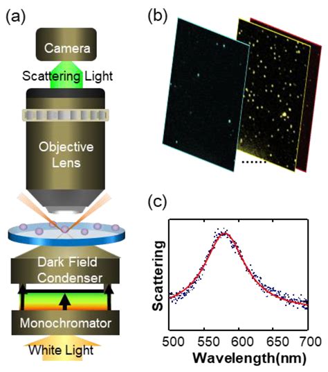 Nanomaterials Free Full Text Plasmonic Nanomaterials In Dark Field Sensing Systems