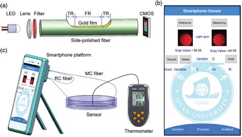 A Schematic Diagram Of The Spr‐based Sensing System B Interface Of Download Scientific