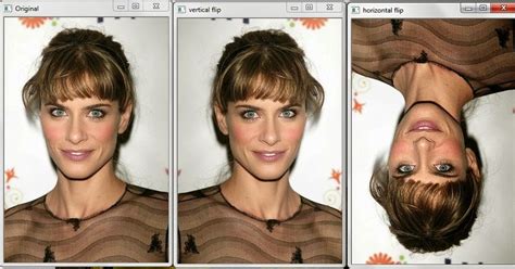 Technology Blog Horizontal And Vertical Flip Using Opencv And Python