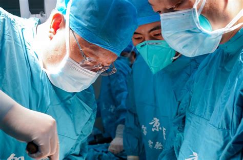 空军军医大学西京医院成功实施国际首例六基因编辑猪 猴多器官、多组织同期联合移植 空军军医大学（第四军医大学）新闻网