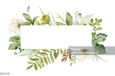 녹색 숲 단풍과 꽃 수채화 벡터 프레임 인사말 배경 화면 초대 결혼식 고정 패션 배경에 대한 꽃 그림 0명에 대한 스톡 벡터 아트 및 기타 이미지 Istock