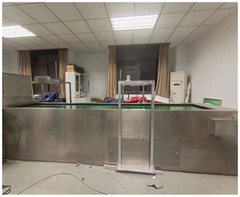 Agronomy Free Full Text Research And Experiment On Soybean Plant Identification Based On