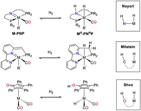 3 Heterolytic Hydrogen Cleavage Assisted By Noyori Milstein And Download Scientific Diagram