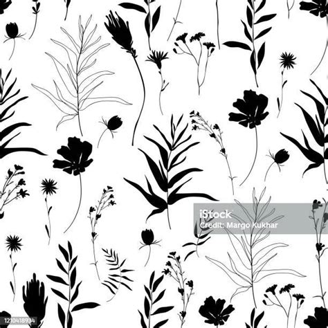 실루엣은 꽃 무음 무늬 트렌디 한 꽃 흑백 벡터 텍스처입니다 피는 식물 모티프는 무작위로 흩어져 있습니다 패션 디티 프린트 흰색 배경에 손으로 그린 야생 초원 꽃 가을에