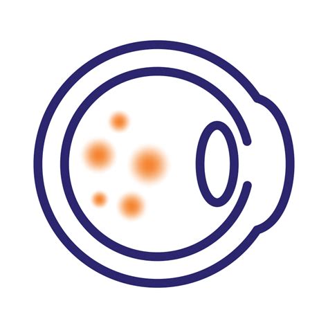 Macular Eye Problems