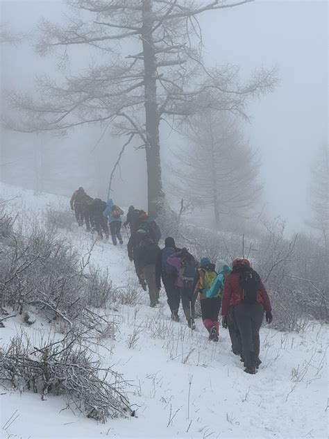 😍 Saruul 🌎🙋‍♀️ On Twitter Rt Nyamkhuuinga Зуны өвөл🌧️💦🌧️ Өглөөний алхалт хийгээд ирлээ 😍🥰😍