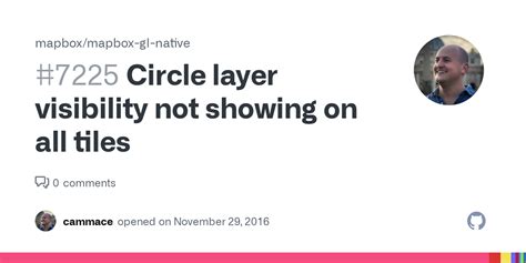 Circle Layer Visibility Not Showing On All Tiles · Issue 7225 · Mapboxmapbox Gl Native · Github