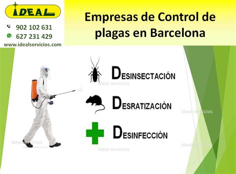 Empresas De Control De Plagas En Barcelona Ideal Servicios