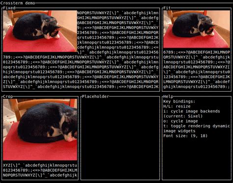 ratatui image — rust utility lib rs