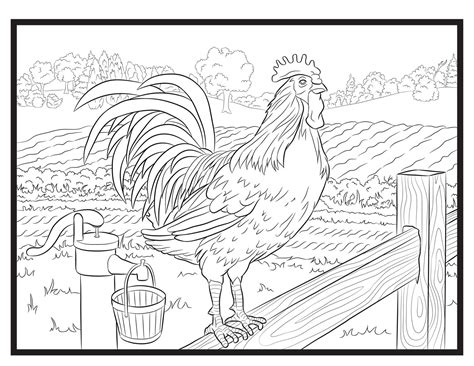 Chicken And Rooster Coloring Pages