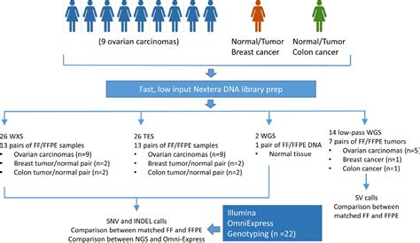 Figure 1 From Targeted Or Whole Genome Sequencing Of Formalin Fixed Tissue Samples Potential