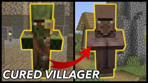 Do Zombie Villagers Spawn Near Villages At Alma Jones Blog