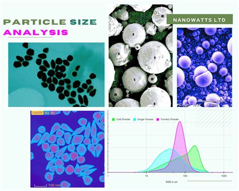 Particle Size Analysis Distribution Guides And Methodology