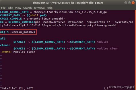 linux驱动模块之带参数的驱动模块 linux 驱动 参数 csdn博客