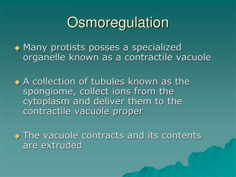 Ppt Chapter 2 Introduction To Protozoa Powerpoint Presentation Free Download Id 5484723