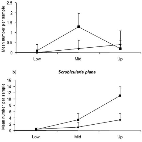 Interaction Plot For The Categorical Factors Expressed As The Mean