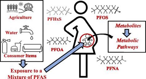 Home 研究中产前血清全氟烷基和多氟烷基物质混合物与脐带血清代谢组的关联environmental Science And Technology X Mol