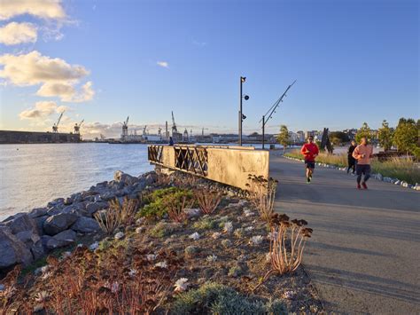 Mission Bay Bayfront Park By Surfacedesign Landezine International