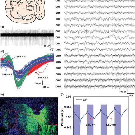Characterization Of Ion‐selective Sensors The Response Of The
