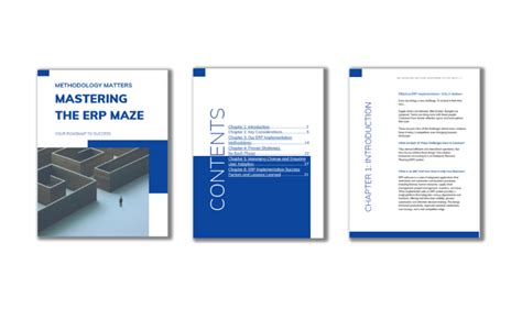 Erp Implementation Methodology Intelligent Technologies Inc