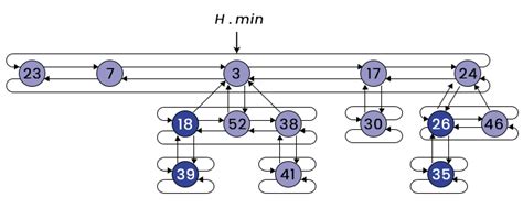 What Is Fibonacci Sequence Nature Art And Mathematics Explained