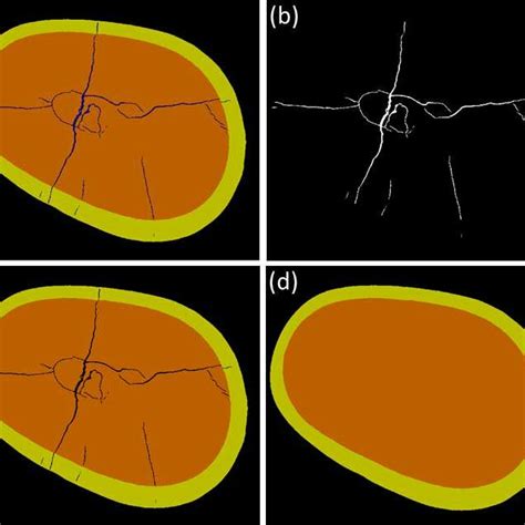 Example Of X Ray µct Data Cube Slice By Slice Segmentation With