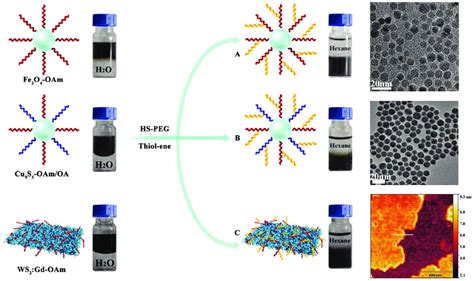 A C Schematic Illustration Of The Surface Modification Process By Download Scientific Diagram