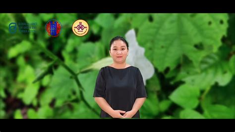 Байгаль орчны хүний эрхийг хамгаалагч эмэгтэйчүүд ба тэднийг хамгаалах нь Youtube