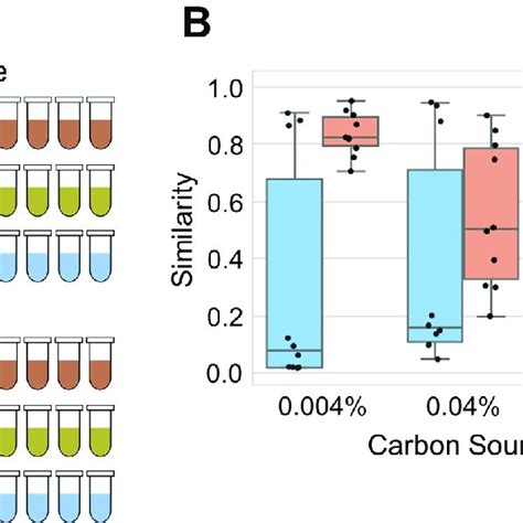 Stochasticity Of Microbial Community Assembly In A River A Microbial Download Scientific