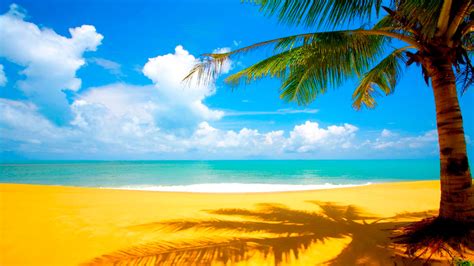 Заставки для стола лето 81 фото