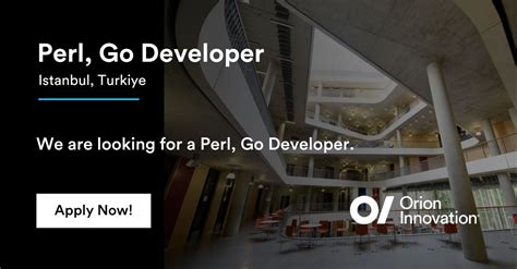 Orion Innovation Turkey On Linkedin Perlgodeveloper Godeveloper Perl Softwarejobs Itjobs