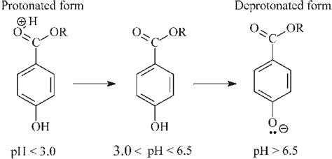 Protonaton And Deprotonation At Different Ph Ranges Download