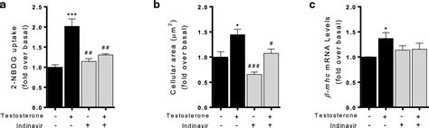 Testosterone Activates Glucose Metabolism Through Ampk And Androgen