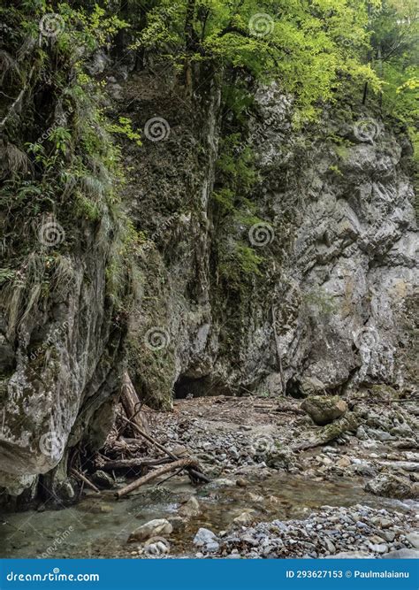 Image From Cheile Oltetului Gorge Polovragi Romania Stock Image Image Of Rock Oltetului