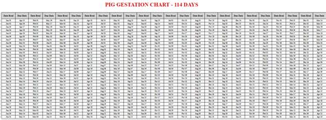 Pig Gestation Calculator And Chart Printable Livestocking