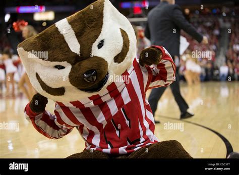 February 21 2015 Wisconsin Badgers Mascot Entertains The Crowd During