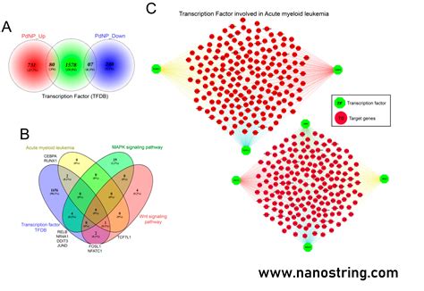What Is Single Cell Spatial Transcriptomics A Comprehensive Guide To Gene Expression Spatial