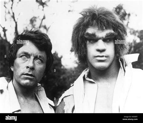 Der Unglaubliche Hulk Vl Bill Bixby Lou Ferrigno 1978 82