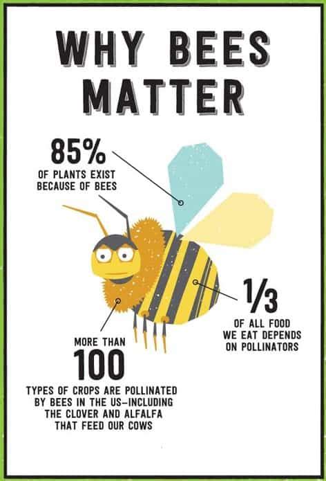 How Iot And Machine Learning Are Saving Our Bees Digital Laoban