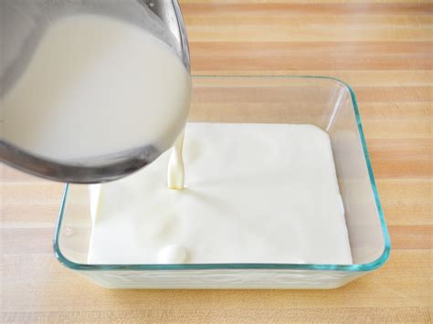 How To Make Ice Cream Without An Ice Cream Maker Food Com