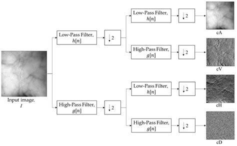 Hybrid Feature Extractor Using Discrete Wavelet Transform And Histogram
