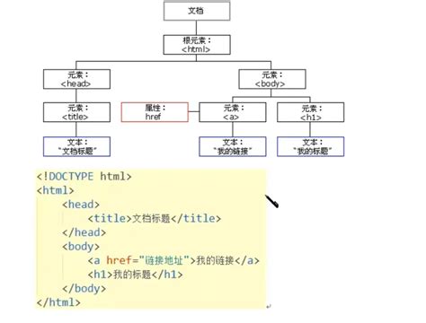 网页编程 15 Javascript Document节点document节点 编程 Csdn博客