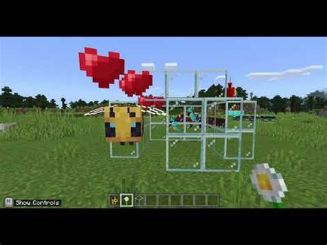 How To Tame Bee In Minecraft YouTube