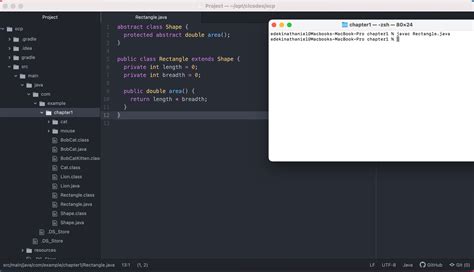 Instance Method Overriding In Java