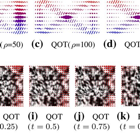 Tensor Field Mass Interpolation On 1 D Top And 2 D Bottom Grids On