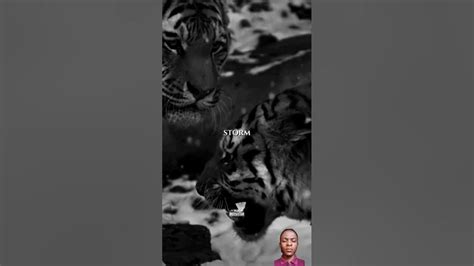 Your Mind Is Your Greatest Assest Use It Wisely Shorts Short