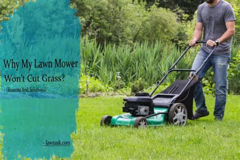 8 Common Lawn Mower Carburetor Problems Fixes Included Lawnask