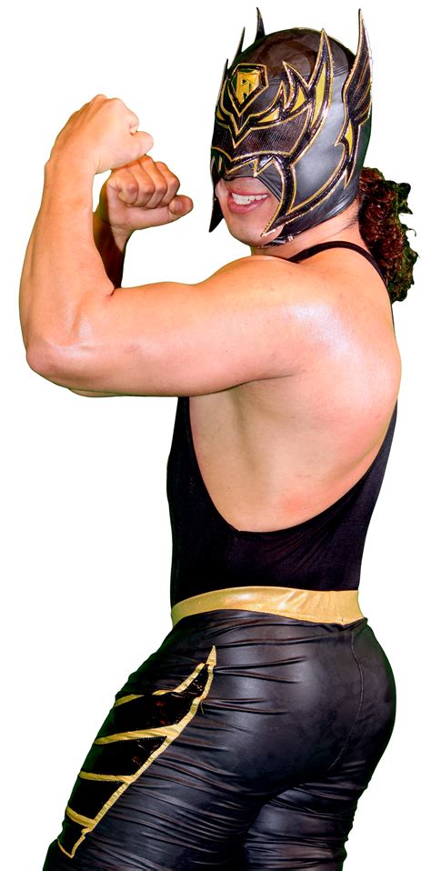 Lucha Libre Mexicana Luchadores