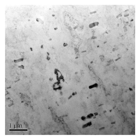 Microstructure After Hot Deformation At True Strain Of 06 With The Download Scientific Diagram